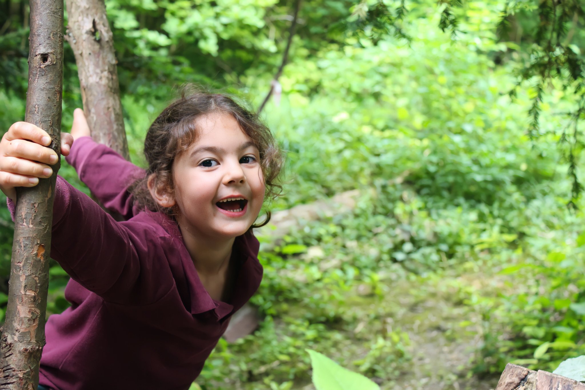 Forest School - St Michael's Prep School